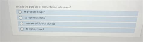 Solved What Is The Purpose Of Fermentation In Humansto