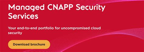 Faq Everything You Need To Know About Integrity360s Managed Cnapp Service