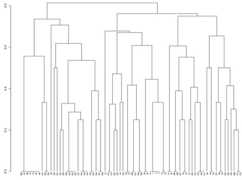 Phylogenetic Tree Generated By UPGMA Method Based On DNA Amplification Download Scientific