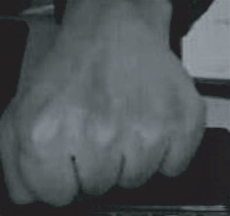 Dynamic Gesture Contour Feature Extraction Download Scientific Diagram