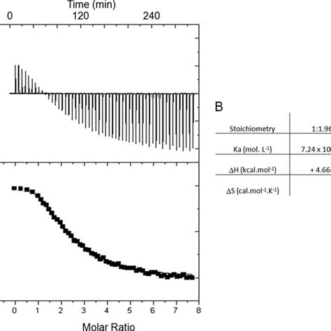 Isothermal Titration Calorimetric Analyses Of The Interactions Between Download Scientific