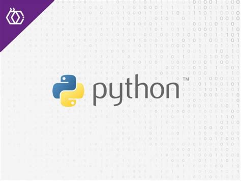 Typing In Python Everything You Need To Know Beecrowd