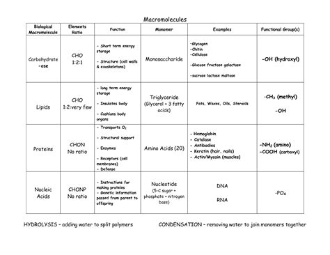 macromolecules chart structures