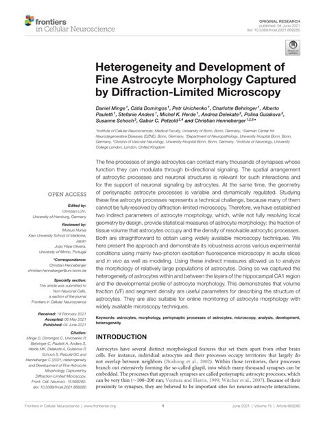 Pdf Heterogeneity And Development Of Fine Astrocyte Morphology