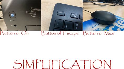 Composting Techniques