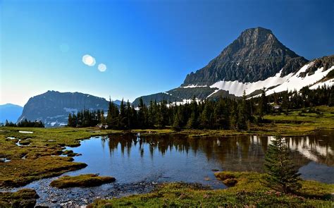 Glacier Meadow Photograph By David Guzzone Fine Art America