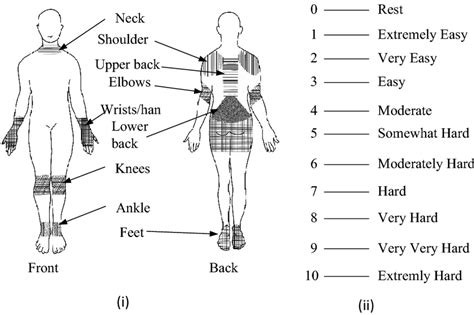 I Schematic Representation Of Body Regions And Ii Borg Rating Of Download Scientific