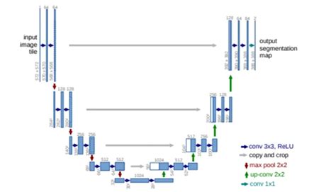 Exploring Diffusion Networks