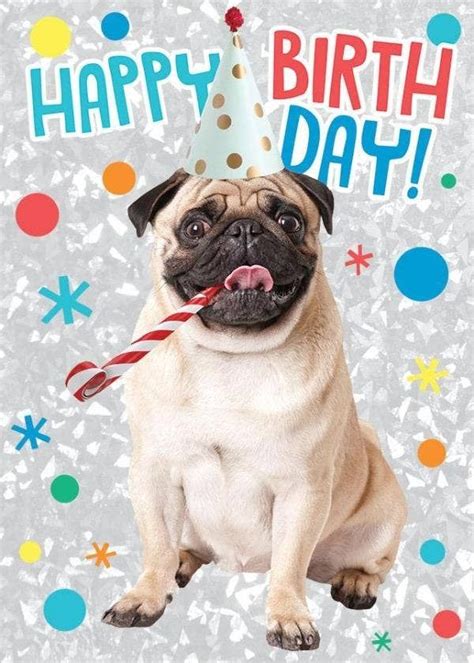 Paper House Productions Birthday Pug Foil Card Birthday Pug Happy Birthday Pug Happy