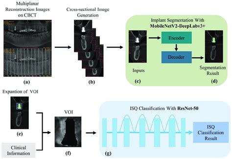 A Workflow Of The Multi Task Cascade Network B Cbct Image