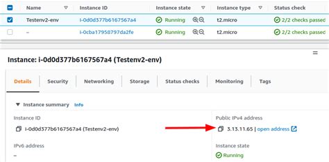 How To Get All Public IP Addresses In Your AWS Account