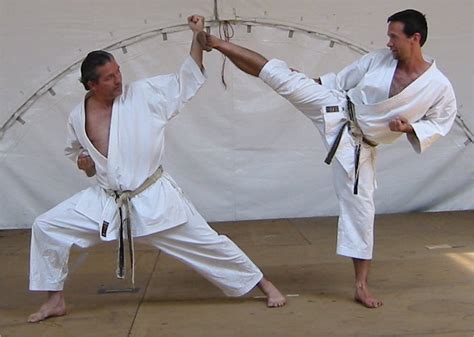 Artes Marciales Un Estilo De Vida Historia Del Karate Shotokan