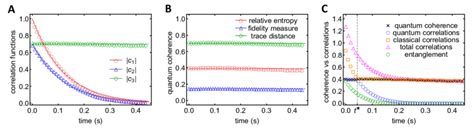 A Dynamics Of The Absolute Values Of The Spin Spin Correlation