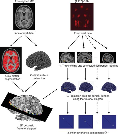 Schematic Showing The Derivation Of Prior Covariance Compo Form An Download Scientific Diagram
