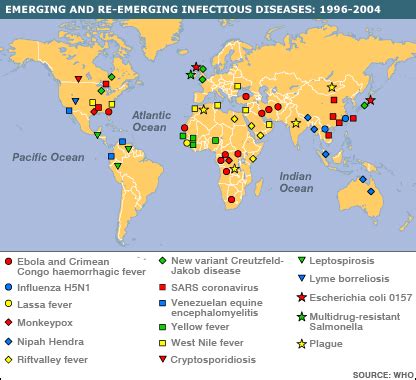 Bbc News Health Who Warns Of Global Epidemic Risk