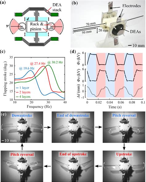 Figure 7 From Power Optimization Of A Conical Dielectric Elastomer Actuator For Resonant Robotic