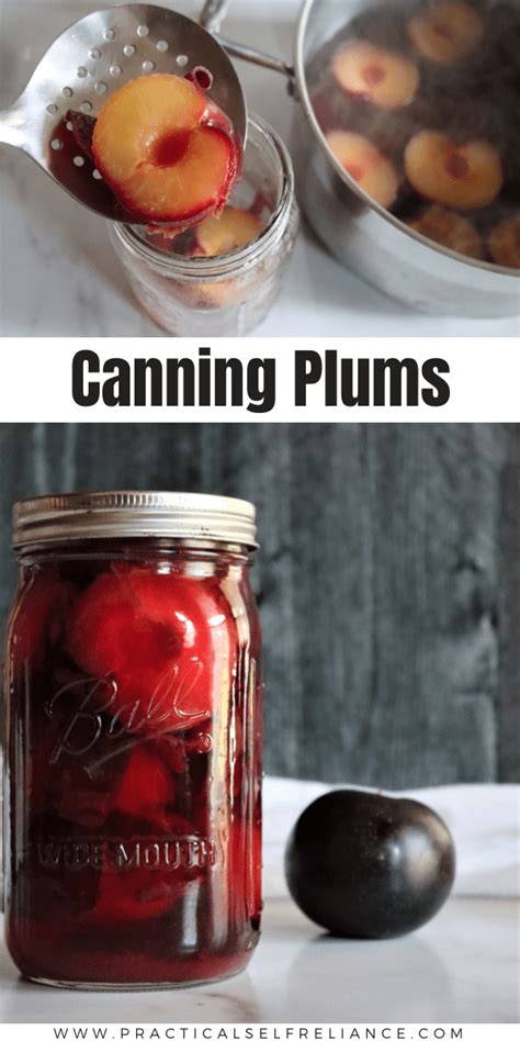 Canning Plums Artofit