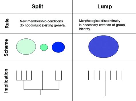 The Logical Relationship Between External Grouping Rule And Implied