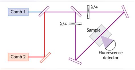 Advances In Spectroscopy Doppler Free Two Photon Dual Frequency Comb Spectroscopy Demonstrated
