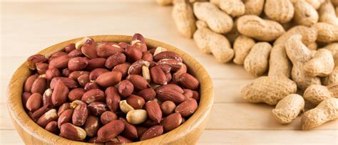 Allergy Uk Welcomes Adult Peanut Allergy Trial Results Allergy Uk National Charity