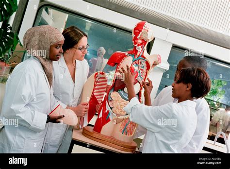Babes In Science Lab Stock Photo Alamy