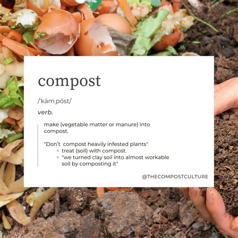 A Beginners Guide To Compost The Compost Culture
