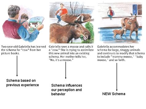 Schema Theory Evaluate Schema Theory