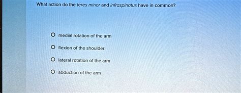 What Action Do The Teres Minor And Infraspinatus Have In Common O Medial Rotation Of The Arm O