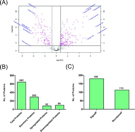 Proteomic Analysis For Secretome Differential Proteomics Analysis Done