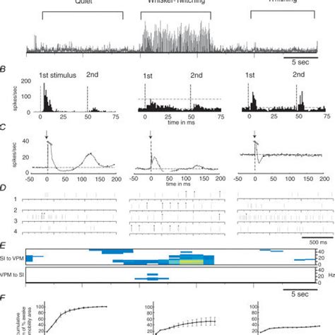 Neural Activity In Vpm Thalamus During Three Behavioural States Download Scientific Diagram