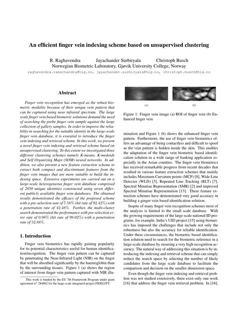 Pdf An Efficient Finger Vein Indexing Scheme Based On Unsupervised Clustering