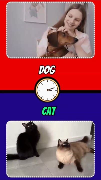 Guess Your Answers Quiz Quizchallenge Quiztime Youtube