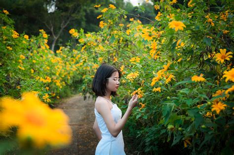Frau Im Weißen Kleid Das Nahe Gelben Blumen Steht · Kostenloses Stock Foto