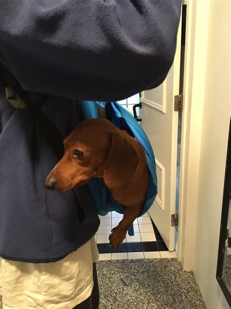 Kevin Declue Mangomingus3 Twitter