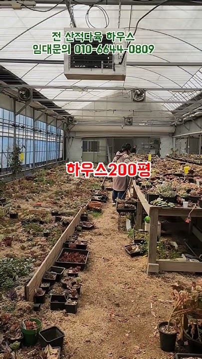 다육이 하우스 임대합니다💕경기도 화성시 정남면 용수리67 18💘임영웅 月亮代表我的心 Succulents 다육이 多肉植物 전 산적다육 임대문의010 6644