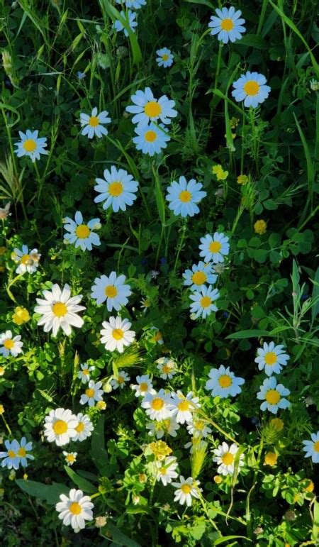 عکس های بک گراند بهترین تصاویر بک گراند [پیشنهادی] تاوعکس