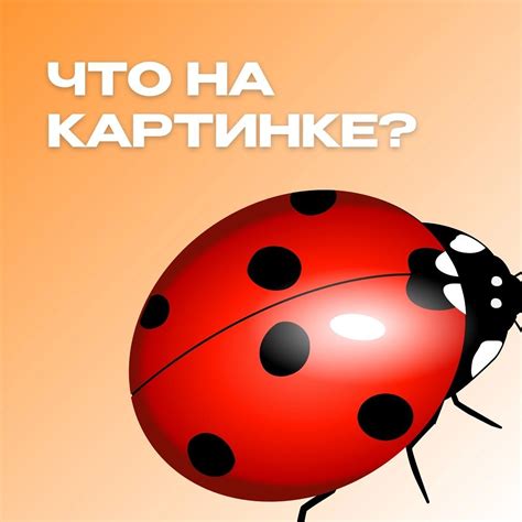 In English Please 👇 Школа английского English Tochka