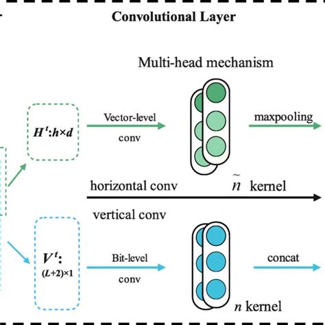 bi cnns employ two kinds of convolutional kernels to process high order