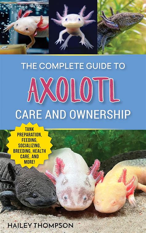The Complete Guide To Axolotl Care And Ownership Tank Preparation