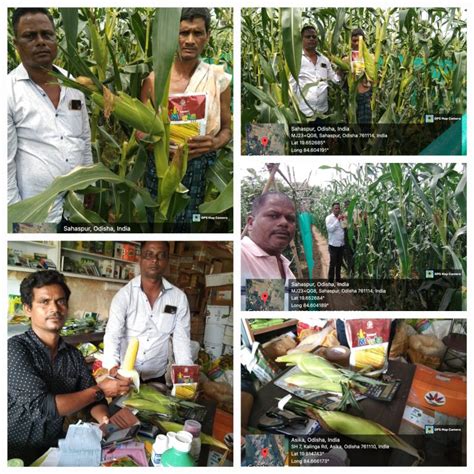 Crop Variety Village State Kaveri Sanjeev Kumar Thakur