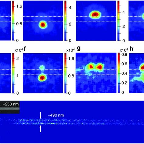 Pdf Visualization Of Molecular Fluorescence Point Spread Functions