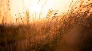 Лятото отново напомня за себе си Новини бг