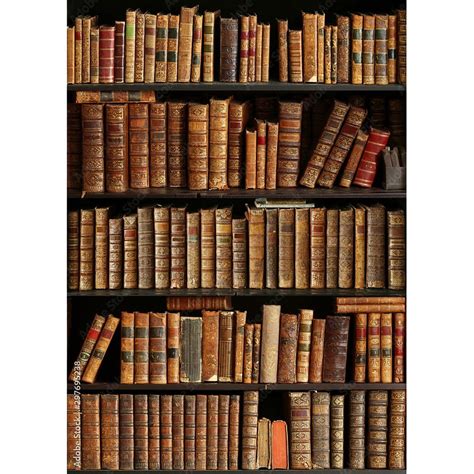 Vintage Bookshelf Book Library Photography Backdrops Portrait Photo