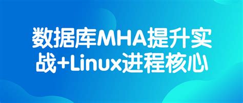 数据库mha提升实战linux进程核心百度云阿里下载 叽哩叽哩游戏网acg（g站）