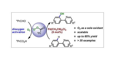 Aerobic Direct Csp2 H Hydroxylation Of 2 Arylpyridines By Palladium Catalysis Induced With