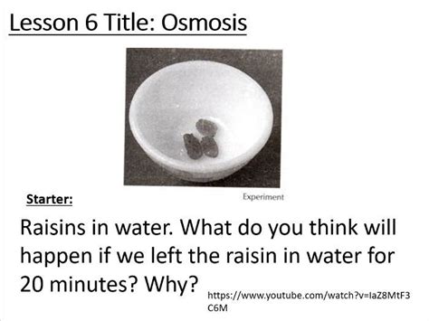 Lesson 6 Osmosis Wjec 1 1 Cells And Movement Across Membranes Teaching Resources