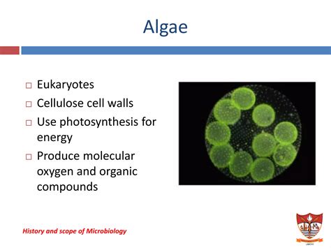 Branches History And Scope Of Microbiology Pdf