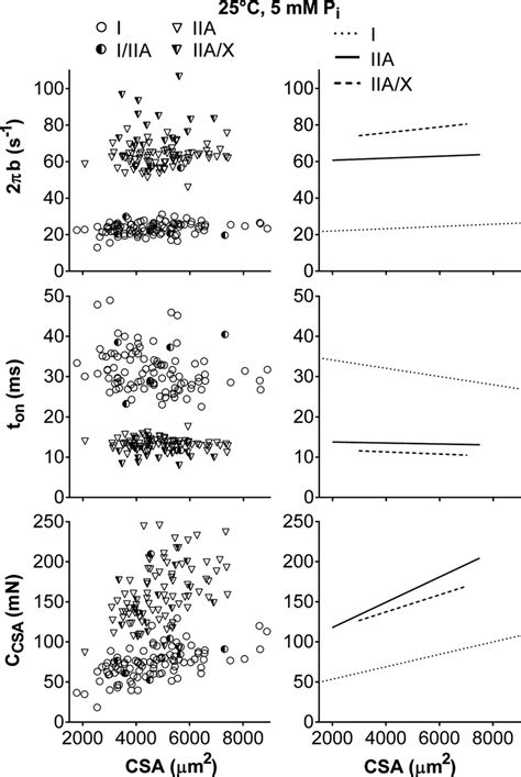 Relationship Between Sinusoidal Analysis Model Parameters 2b Ton And Download Scientific