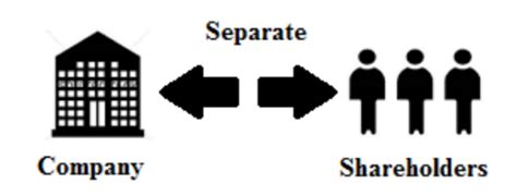 7 Exceptions To The Principle Of Separate Legal Personality
