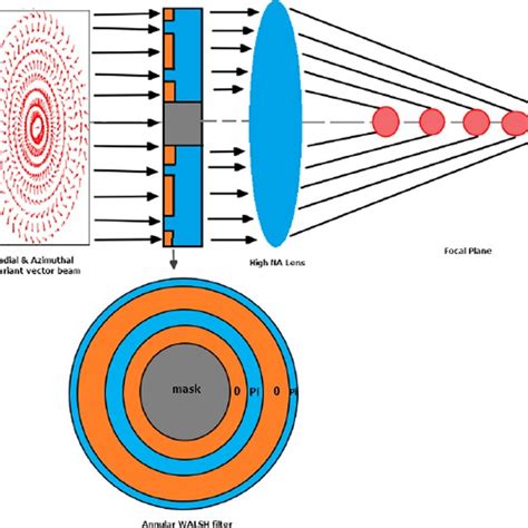 Schematic Representation For Radial And Azimuthal Variant Vector Beam